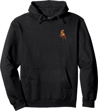 jz.birds Rotkehlchen Vogelfreund Gartenvogel Singvogel Biologe Vogel Pullover Hoodie