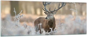 Arttor Panorama Bilder auf Glas Hirsch Wald Natur Glasbild 140x50cm Wandbilder Dekoration Wohnzimmer Schlafzimmer Küche Groß XXL Wanddeko Bild im Glas Wand K