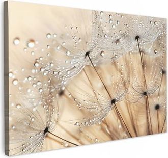 MuchoWow © Impression sur Toile Decoration Murale Peinture 120x80 cm Tableaux Decoratifs Muraux Déco Chambre Tableau Salon Pissenlit - Abstrait - Nature - Beig