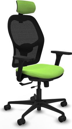 Piqueras y Crespo Ergonomischer Stuhl f&uuml;r Zuhause mit 3D-Armlehnen, h&ouml;henverstellbare Lendenwirbelst&uuml;tze und h&ouml;henverstellbares Kopfteil, Schwarz / Pistazie