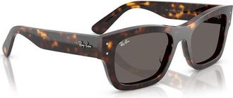 Ray-Ban Sonnenbrillen 0RB7683S Braun