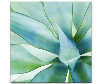 Paul Sinus Art Leinwandbilder | Bilder Leinwand 90x90cm abstrakte Pflanze schwarz, wei&szlig;