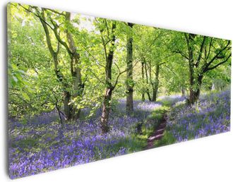 Wallario Leinwandbild Blaues Hasenglöckchen im Wald - Wandbild 30 x 75 cm: Kunstdruck | Brillante lichtechte Farben | hochauflösend | verzugsfrei