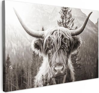 MuchoWow © Leinwand Groß 120x80 cm XXL Deko Schlafzimmer Aesthetic Leinwandbilder Wohnzimmer Gemälde Foto Geschenk Living Room Decoration Schottisches Hochland