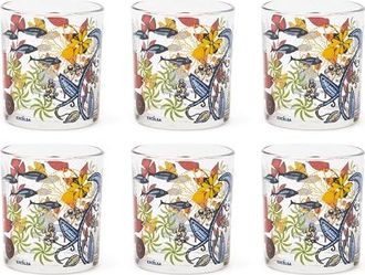 Excelsa Afrika Lot de 6 verres, verre, capacit&eacute; 250 ml