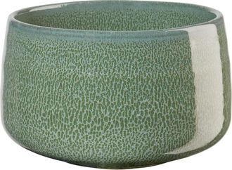 ASA moribana Schale matsu Shiny 12cm