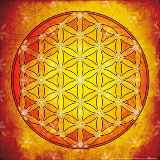 1art1 Mandalas Poster Die Blume des Lebens, Element Feuer Kunstdruck Bild 40x40 cm