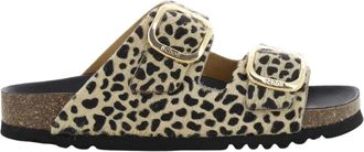 Scholl Femme, Chaussures, Brun, Taille: 40 EU Noelle