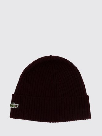 Lacoste Beanie aus reiner Wolle mit Umschlag und gesticktem Krokodil-Logo von