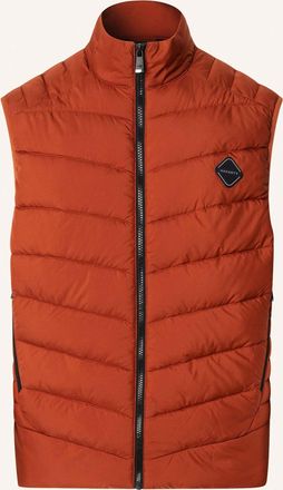 Hackett Gilet Hs Sonic Gilet braun