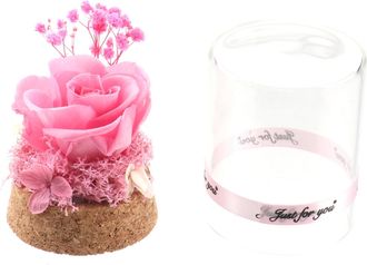 Angoily Unsterbliche Rose Glasabdeckung Dekoration Kreatives Valentinstagsgeschenk Rosa Blume Mit Glaskuppel