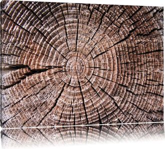Pixxprint Baumstamm mit Jahresringen, Größe: 100x70cm, Leinwandbild, fertig gespannt, Wandbild, Dekoration, Kunstdruck, kein Poster