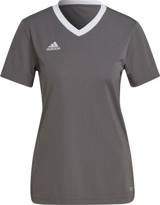 adidas Damen Entrada 22 Jersey, Team Grey Four, XXS
