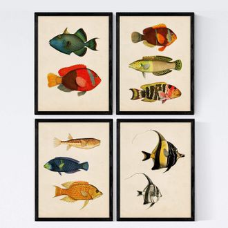 Nacnic Set 4 Blatt Fisch Jahrgang bunten Effekt. Baleares. Zusammensetzung von 10 verschiedenen Fischen in A3-Format, Hintergrund Altpapier Jahrgang Posterpa