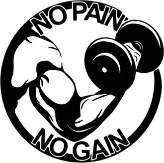 Angoily Wandtattoo Motivations-wandaufkleber Deko Wandsticker Schlafzimmer Wohnzimmer Diy Abnehmbar Rückstandsfrei Für Hobbyraum Fitnessbereich