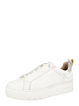 Salamander Sneaker