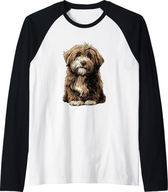 Whyitsme Design Schokoladen-Havaneser-Hunde-Illustration Raglan