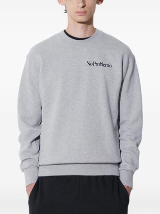 Aries crew-neck sweatshirt - Grau
