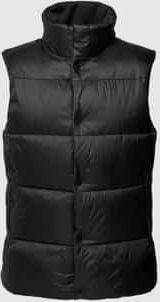 Cinque Steppweste mit Stehkragen Modell Connect