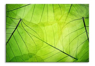 Pixxprint Glasbild, Wandbild aus Echtglas, Wundersch&ouml;ne Zarte gr&uuml;ne Bl&auml;tter, 60x40 cm, inkl. Aufh&auml;ngung und Abstandshalter