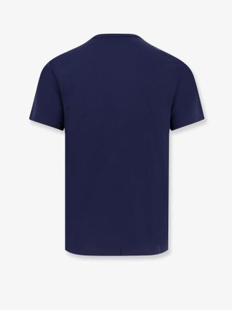Polo Ralph Lauren Mens T-Shirt Cotton Blue T-Shirts And Polos