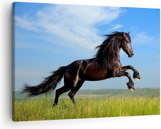 Arttor Bilder auf Leinwand Schwarzes Pferd Pferd Galopp Leinwandbild 70x50cm Wandbilder Dekoration Wohnzimmer Schlafzimmer K&uuml;che Deko Klein Wanddeko Bild Wan