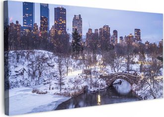 MuchoWow Leinwand Bilder, Einzigartige Wanddeko mit Rahmen, New York - Central Park - Winter, Wandbilder Wohnzimmer, Deko Schlafzimmer 80x40 cm