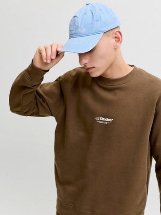 Jack & Jones Sweatshirt JJESOHO SWEAT CREW NECK NOOS Baumwollmischung, relaxed fit