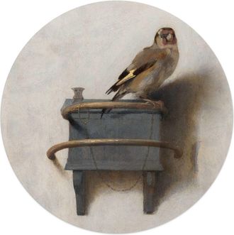 Reinders Plexiglasbild, Der Distelfink, Wohnzimmer, Poster, Wanddeko, Room Decor, Acrylglas, Braun, &Oslash; 50cm