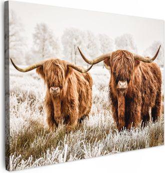 MuchoWow © Leinwand 70x50 cm Deko Schlafzimmer Aesthetic Leinwandbilder Wohnzimmer Gemälde Foto Geschenk Living Room Decoration Kuh - Tiere - Schottisches Hoch