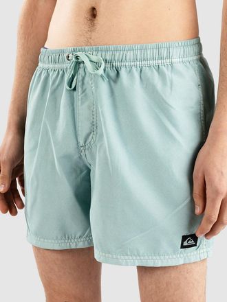 Quiksilver Everyday Surfwash Volley 15 Boardshorts aquifer