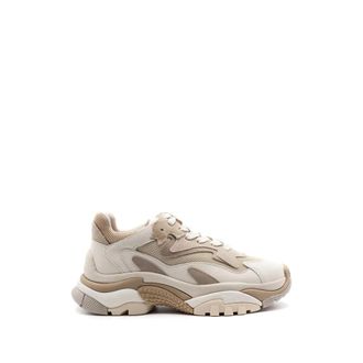 Ash Addict Low-top Sneakers