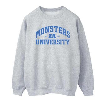 Disney Monsters University Sweatshirt f&uuml;r Herren (Grau)