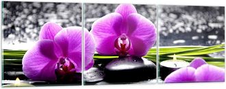 Arttor Mehrteilige Bilder auf Glas Orchidee Natur Wasser Blume Glasbild 90x30cm Wandbilder Dekoration Wohnzimmer Schlafzimmer K&uuml;che Set 3 teilige Klein Wandd