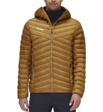 Mammut Albula IN Hooded M - Wanderjacke - Herren