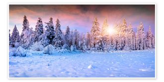 Posterlounge Winter-Sonnenaufgang im Bergwald Poster 100 x 50 cm Wandbilder Wanddeko