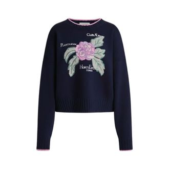 Alberta Ferretti Femme, Pulls, Bleu, Taille: 36 FR Herbarium Embroidered Cashmere Jumper