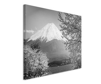 Paul Sinus Art 50x70cm Wandbild Fotoleinwand Bild in Schwarz Weiss Kirschb&auml;ume Berg Kawaguchi Japan