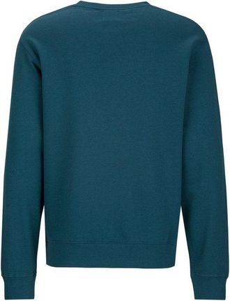 Replay Sweatshirt Sw Small Logo