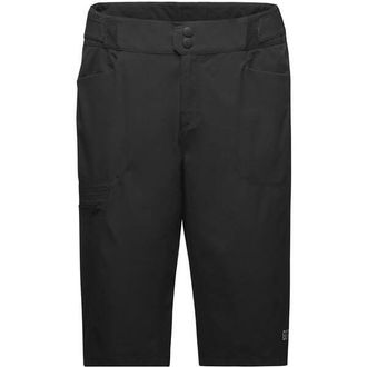 Gore GORE Wear Passion Shorts Herren