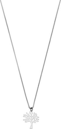 FAVS Kette