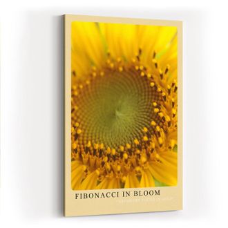 Paul Sinus Art Paul Sinus Wandbild 60x90cm Fibonacci in Bloom Sonnenblume Makro Gelb Natur Geometrie Bruchstruktur