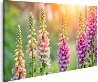 Islandburner Bild auf Leinwand Pfirsich lila Fingerhut Blumen Bilder Wandbilder Poster