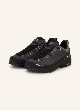Salewa Wanderschuhe Alp Trainer 2 Gtx grau