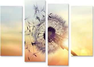 Islandburner Bild auf Leinwand Pusteblume im Sonnenuntergang am Horizont mit weichen Farben Bilder Wandbilder Poster