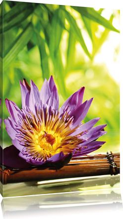 Pixxprint Seerose auf Bambus Wellness, Größe: 80x60cm, Leinwandbild, fertig gespannt, Wandbild, Dekoration, Kunstdruck, kein Poster
