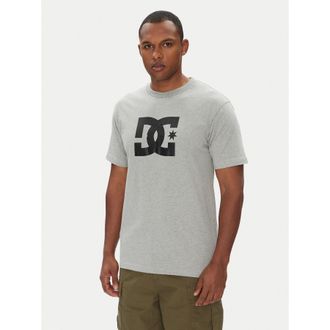 DC T-Shirt ADYZT05373 Grau Regular Fit
