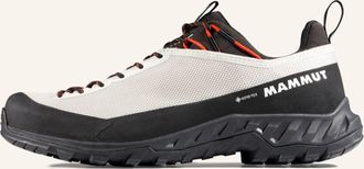 Mammut Mammut Alnasca Iv Low Gtx Women grau