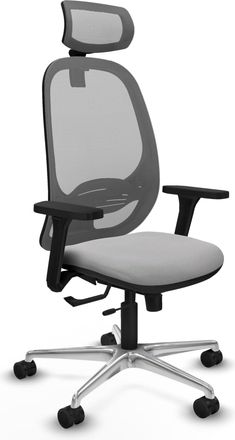 Piqueras y Crespo Cilanco Stuhl f&uuml;r &Uuml;berwachungshaus mit 3D-Armen, h&ouml;henverstellbare Lendenwirbelst&uuml;tze und h&ouml;henverstellbares Kopfteil, Grau/Hellgrau