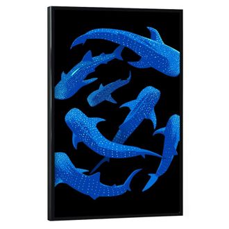 artboxONE Poster mit schwarzem Rahmen 60x40 cm Tiere Shark Whales - Bild Shark hai Natur